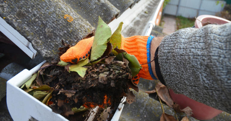 Home inspectors share 10 red flags that are clear signals to walk away