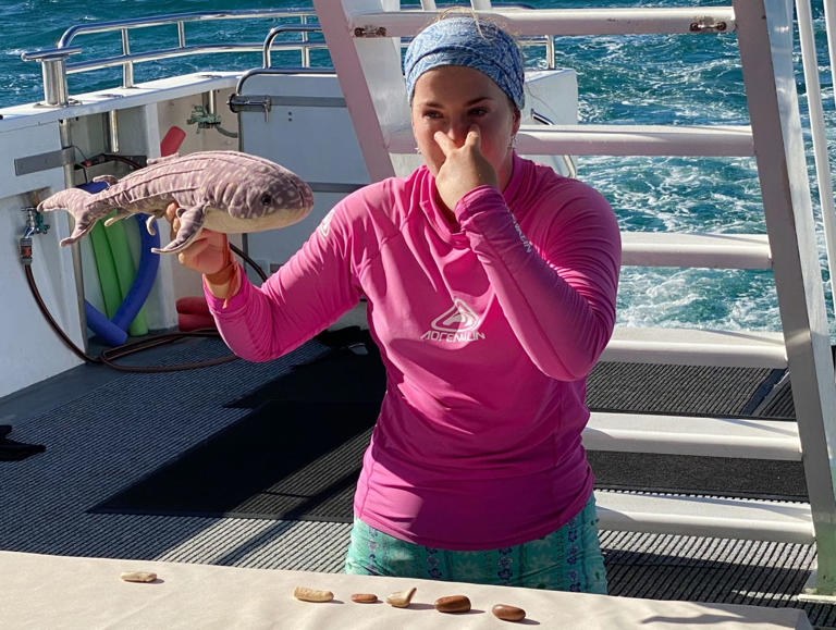 Swimming with the world's largest fish, the whale sharks of Australia