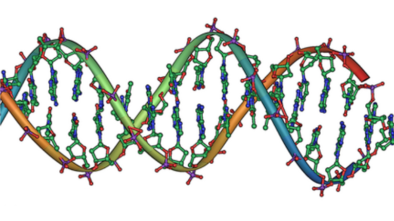 Top Medical Researchers Links Adolf Hitler to Rare Medical Disorder ...