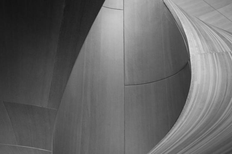 Bognor camera club compete in international photography contest