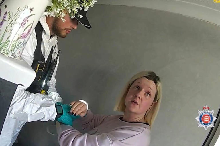 Killer put mum's corpse in wardrobe so 'maggots and flies' wouldn't ...