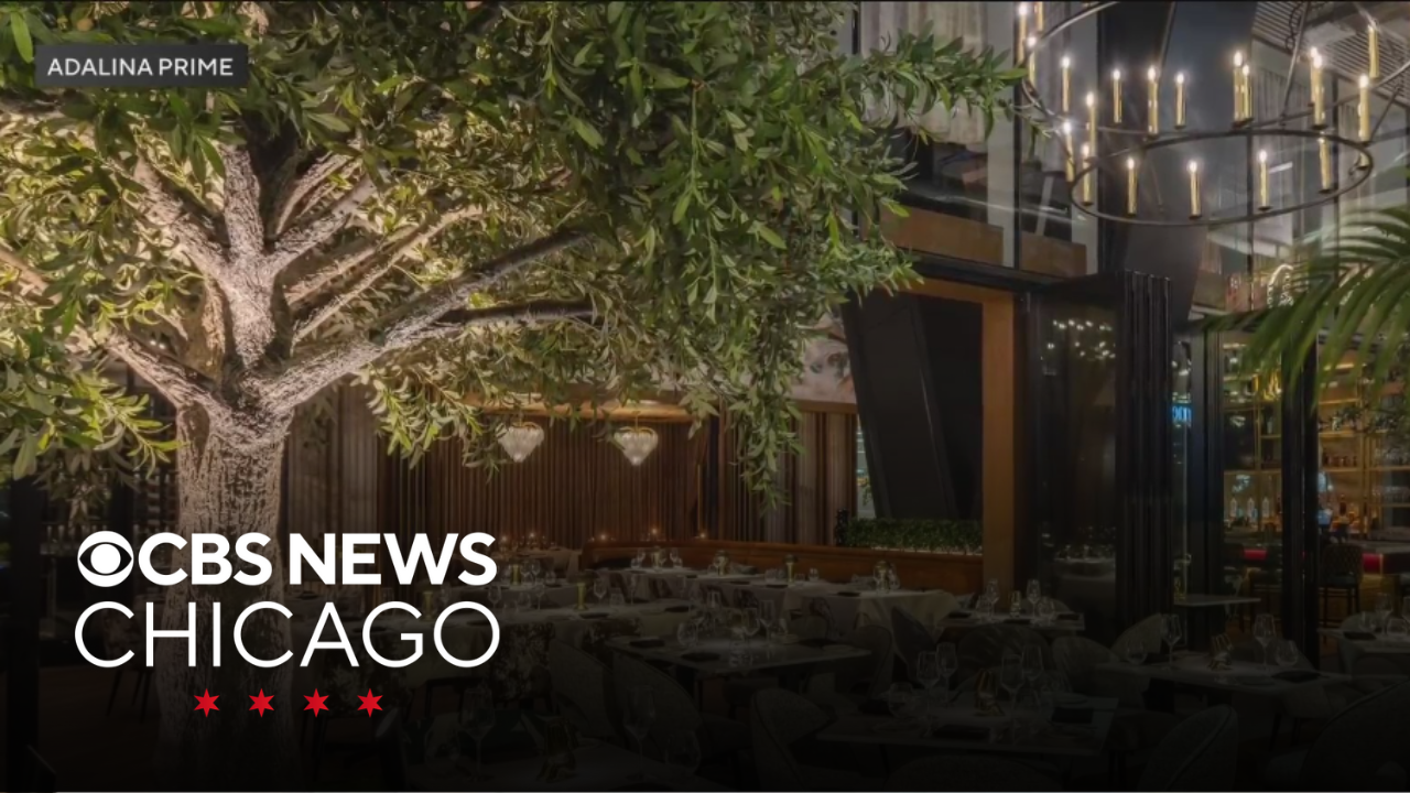 2 Chicago restaurants rank "Most Beautiful New Restaurants in America ...