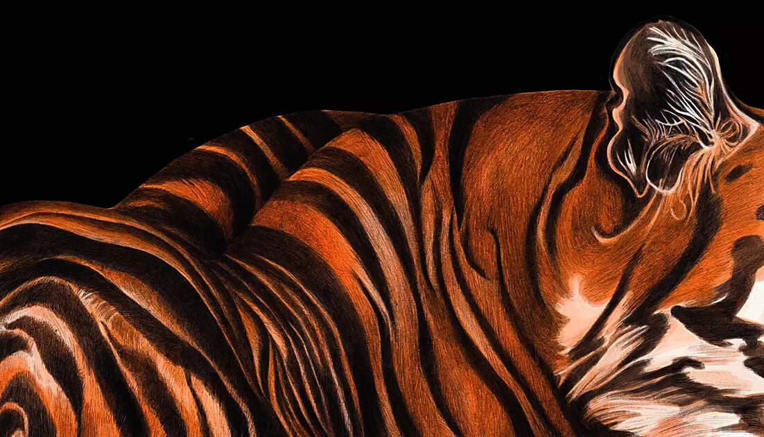 Does 'Tiger Global' leave investors confused, or finally put economic ...