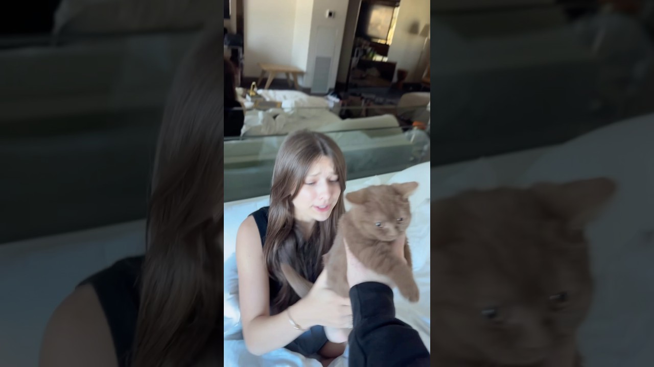 Is that a kitten in your pocket?