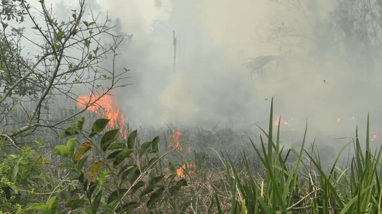 Elevated fire danger across the Lowcountry Thursday