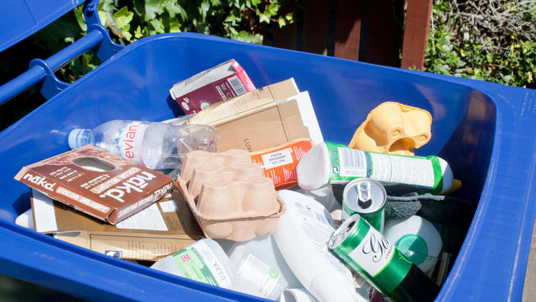 Claims of £400 fine under new household bin recycling rules labelled ...