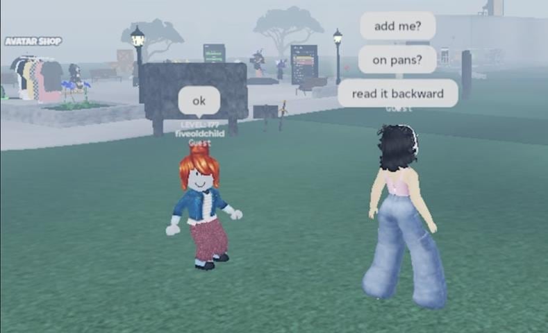 Snohomish family sues Roblox, alleging site enabled child sexploitation ...