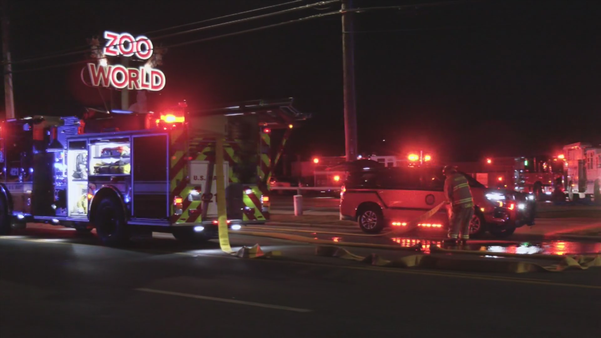 6 confirmed animal deaths in ZooWorld fire