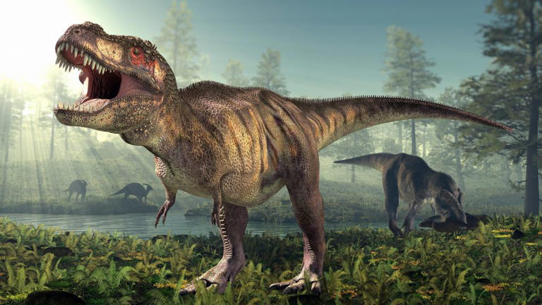 Fossil analysis changes what paleontologists know about how long T rex ...