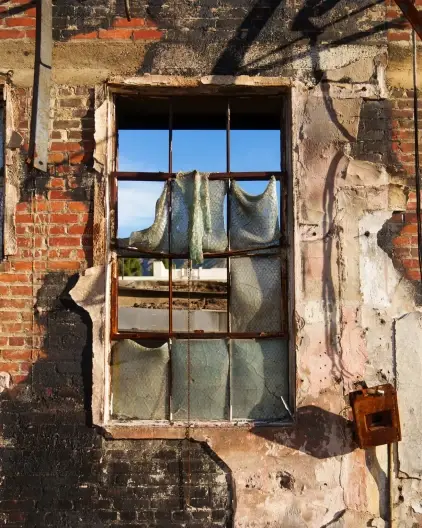 How Altadena businesses are trying to recover from the Eaton fire