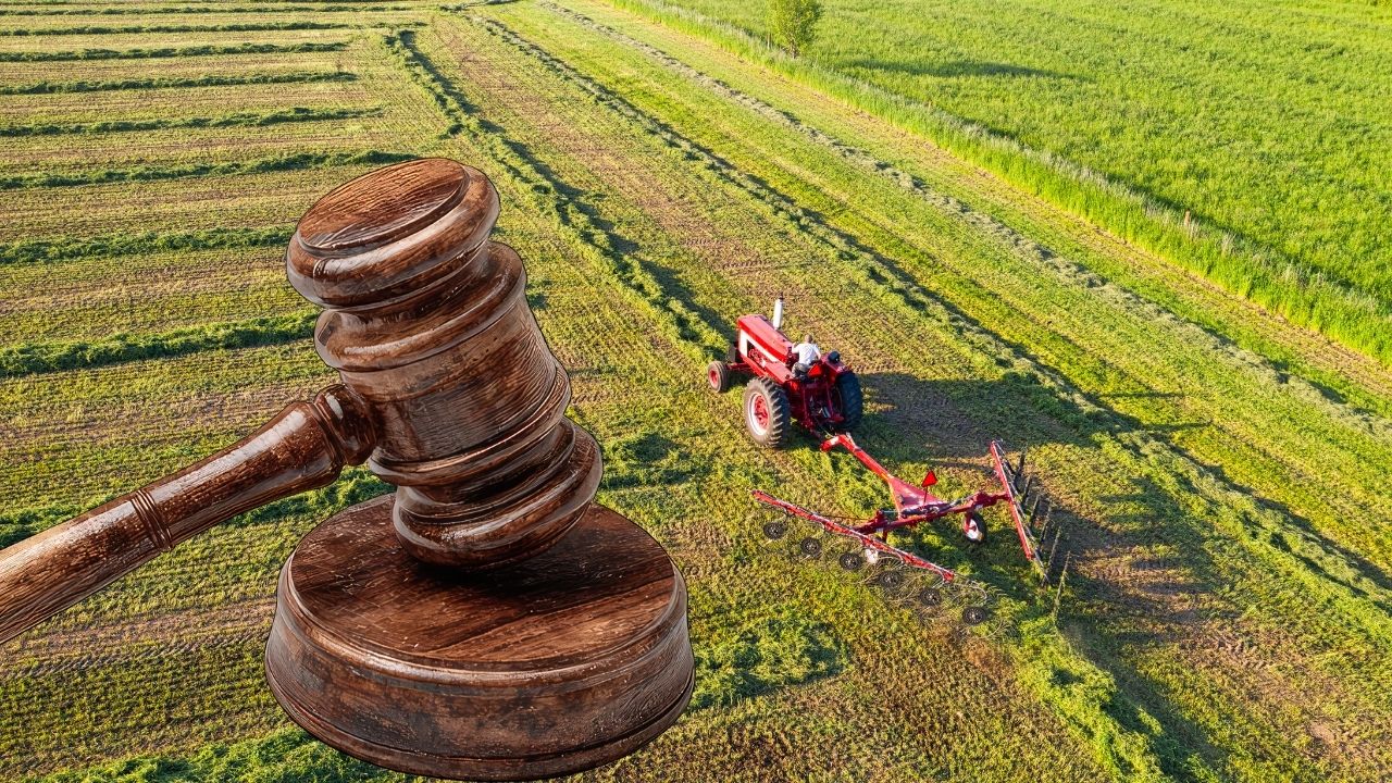 Farming was never outlawed, but farmers say red tape is making it ...