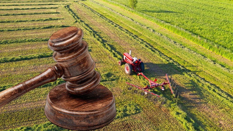 Farming was never outlawed, but farmers say red tape is making it ...