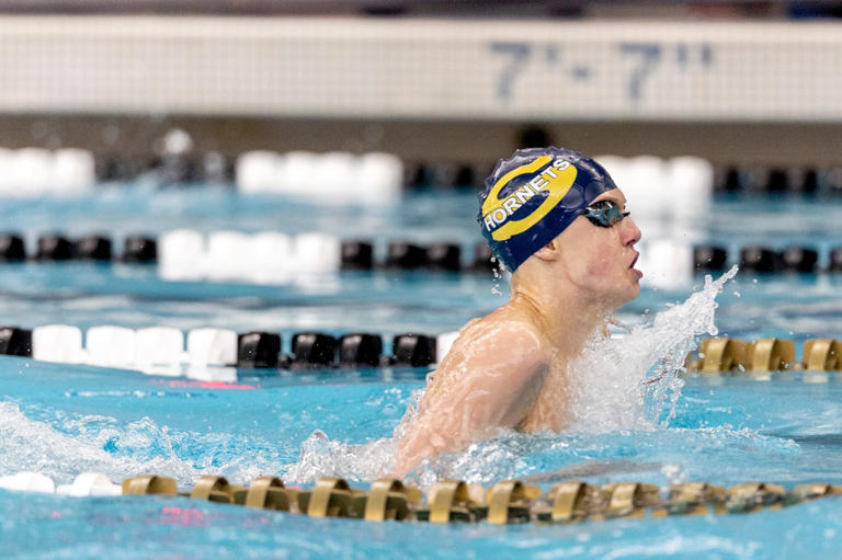 Ann Arbor-area boys swim and dive leaders as of Jan. 15