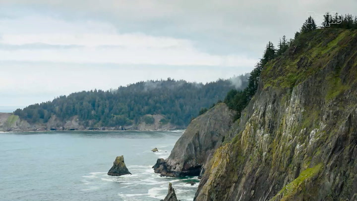 Skeletal remains found on beach identified as former mayor who vanished ...