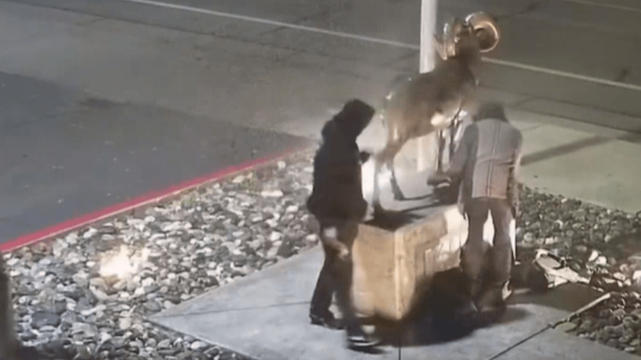 Bronze ram statue stolen in Dixon, police searching for suspects