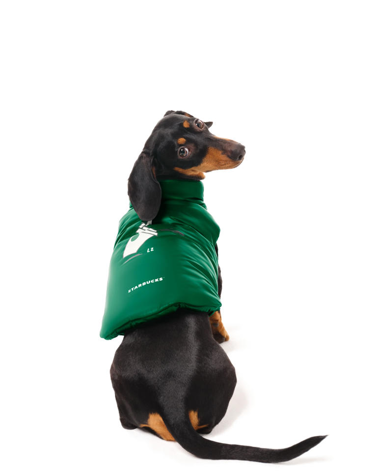 Starbucks debutta alla Milano Fashion Week