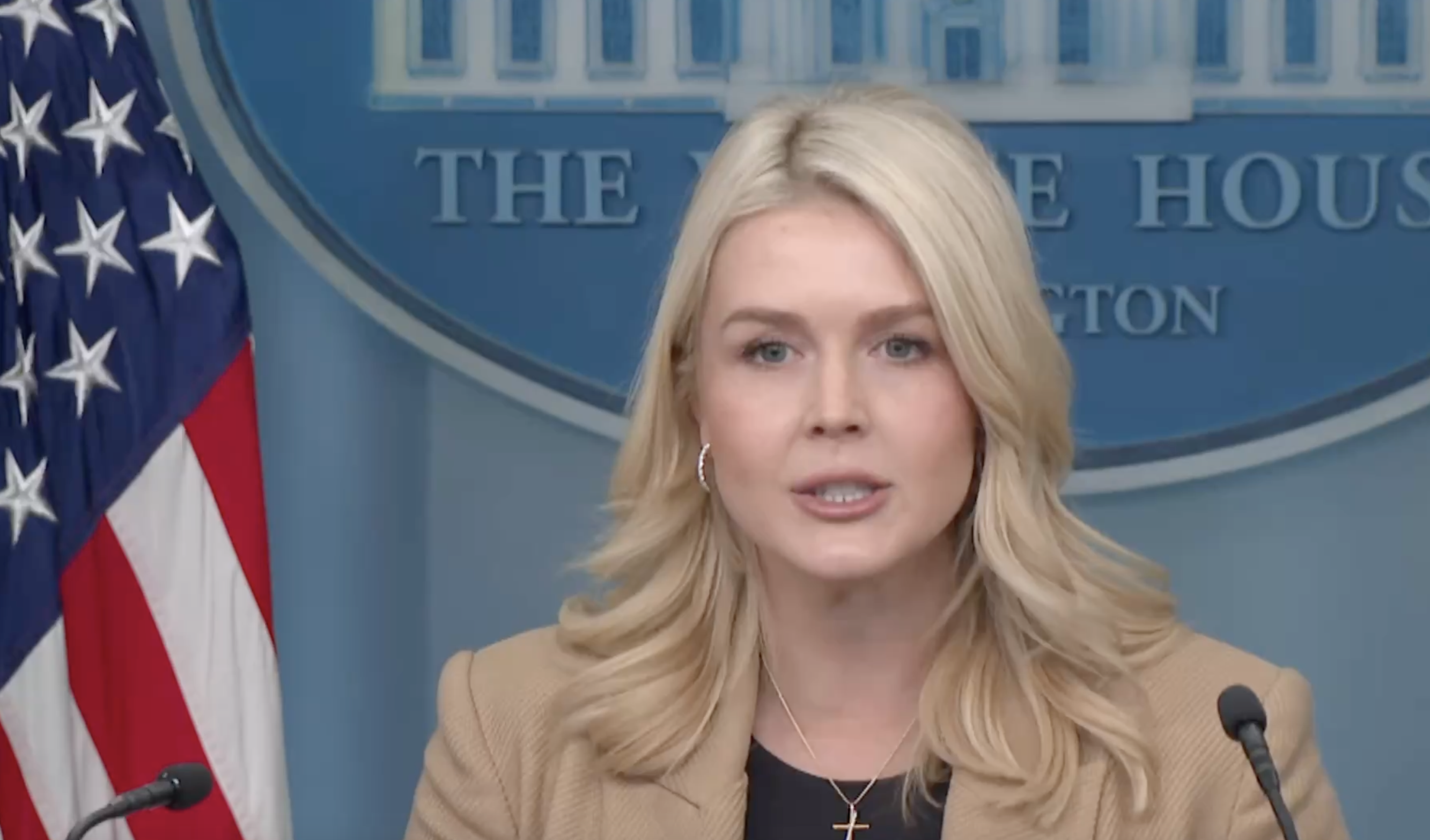 'You're a left-wing hack, you're not a reporter': Karoline Leavitt goes ...