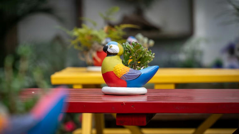 Woman's viral 'bird theory' about white people has everyone checking ...