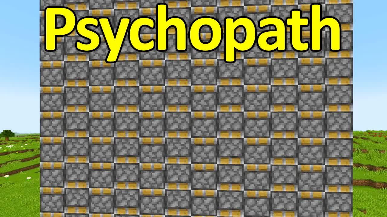 Types of people portrayed by Minecraft #25