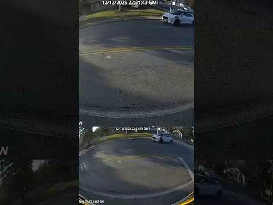 Waymo robotaxis continue to pass school buses despite software recall ...