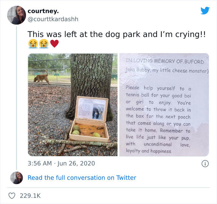 25 random feel-good posts shared by the “Delightful News” Instagram page