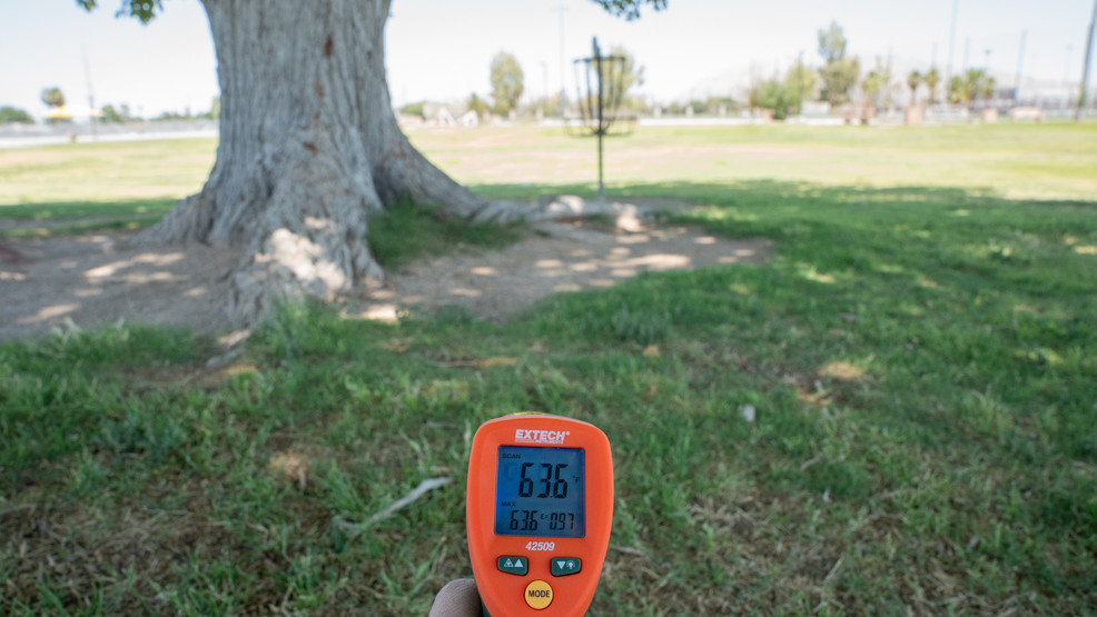 Lawsuit alleges provision against 'useless turf' killed 100K trees in ...