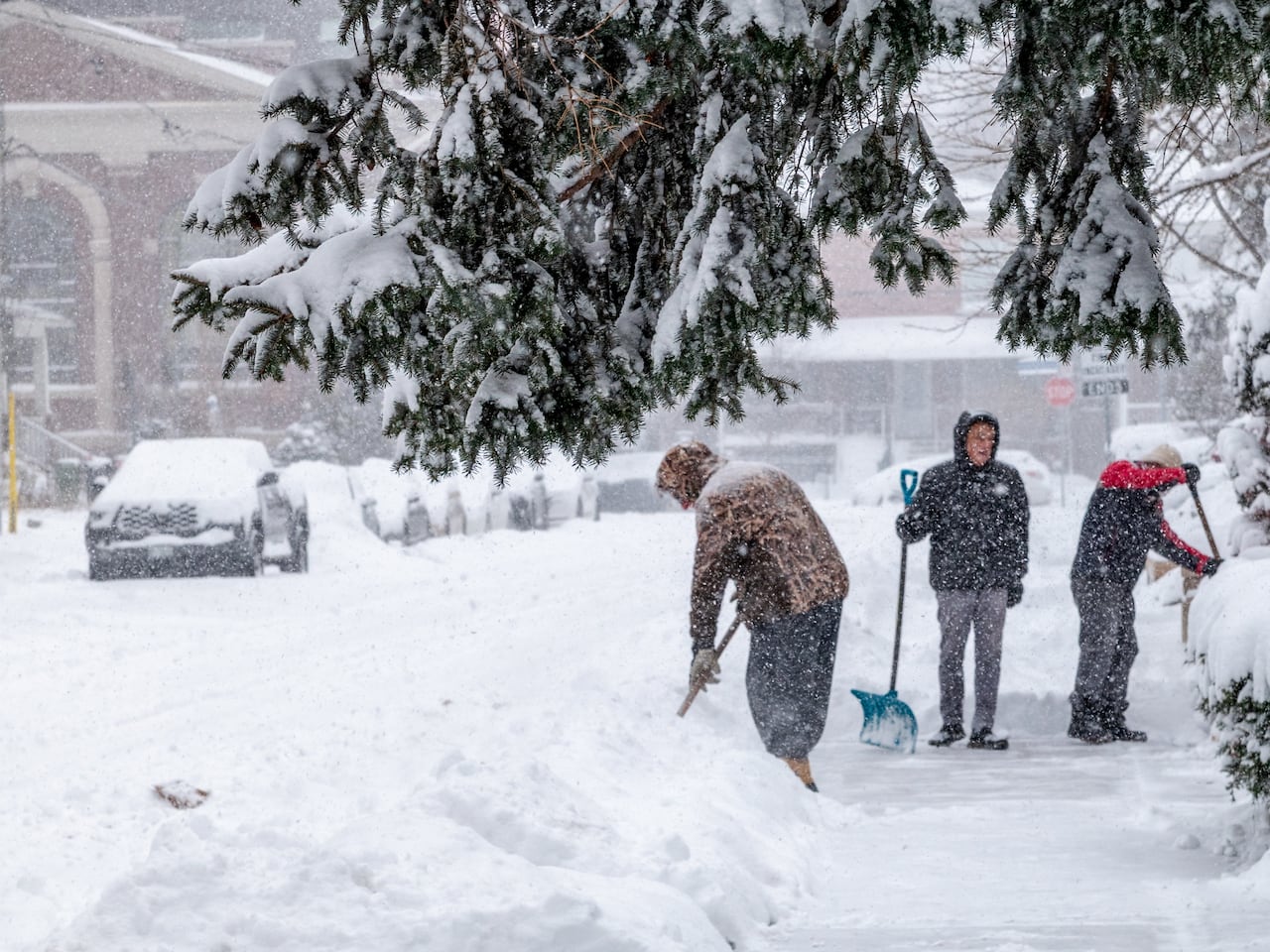 Toronto could see up to 40 cm of snow by end of storm, Environment ...