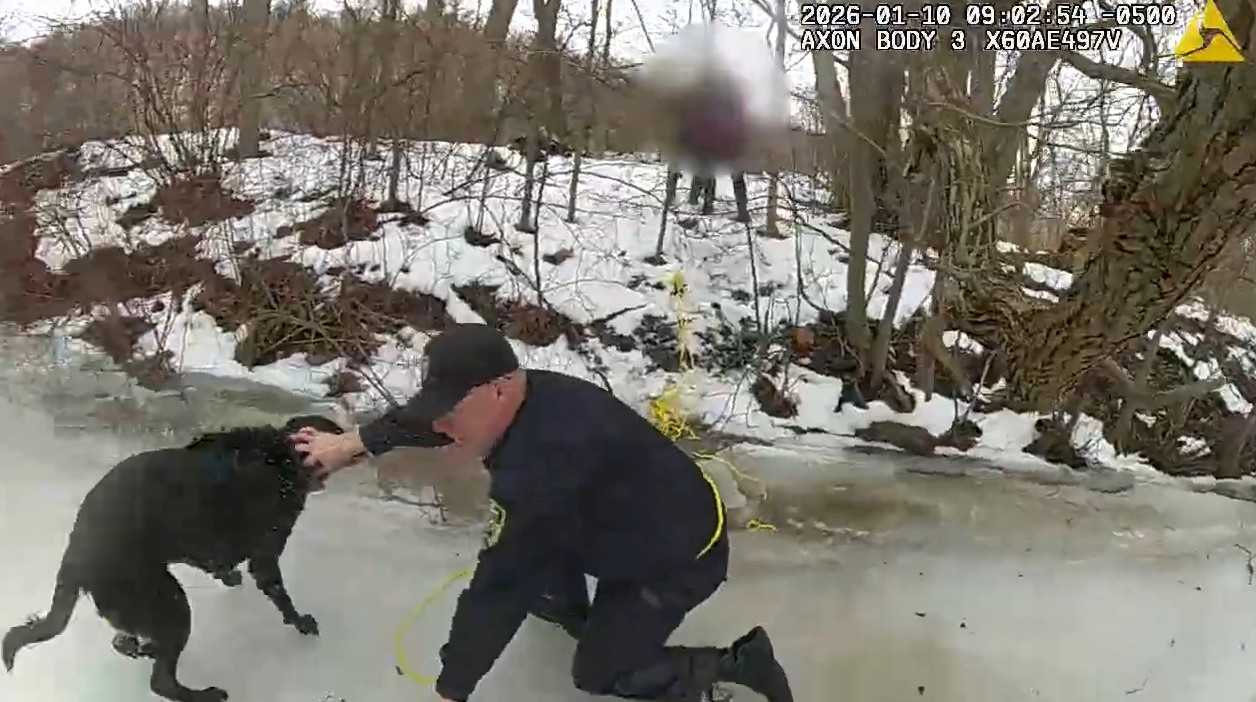 Incredible video shows state troopers rescuing dog that fell through ...