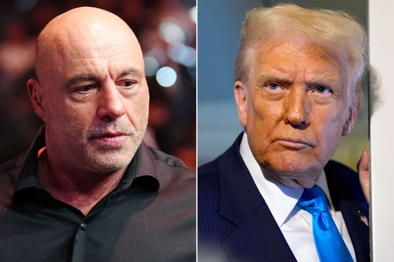 Joe Rogan, a prominent supporter of Trump's 2024 campaign, compares ICE ...