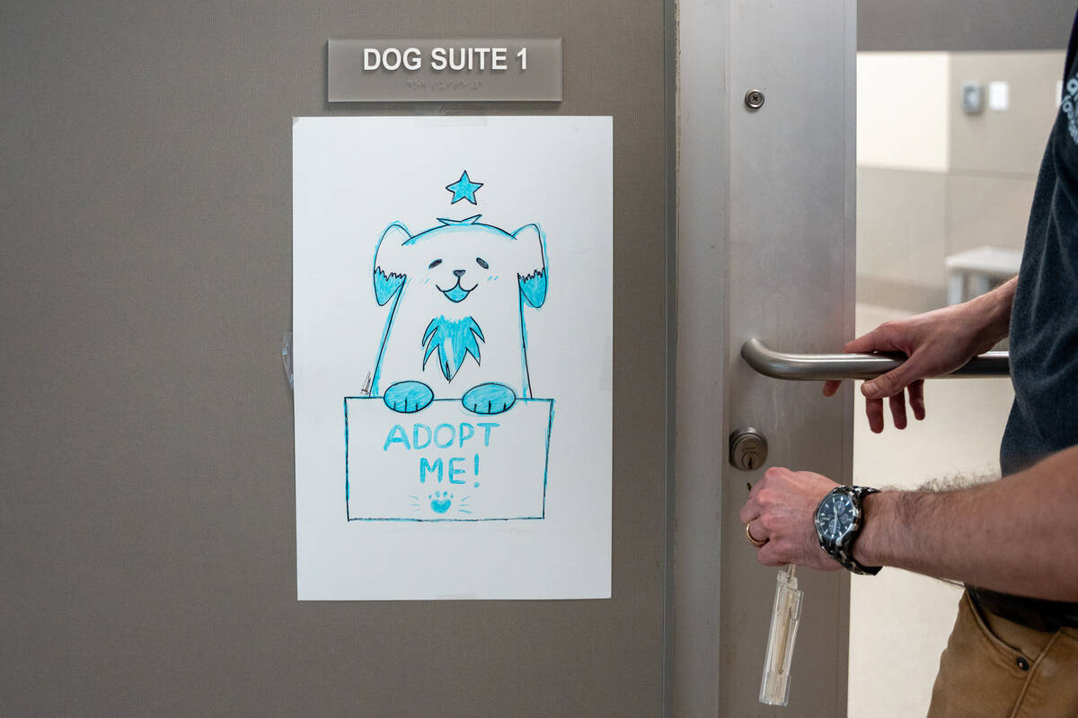 The Animal Foundation to host Fetch a Fresh Start adoption event