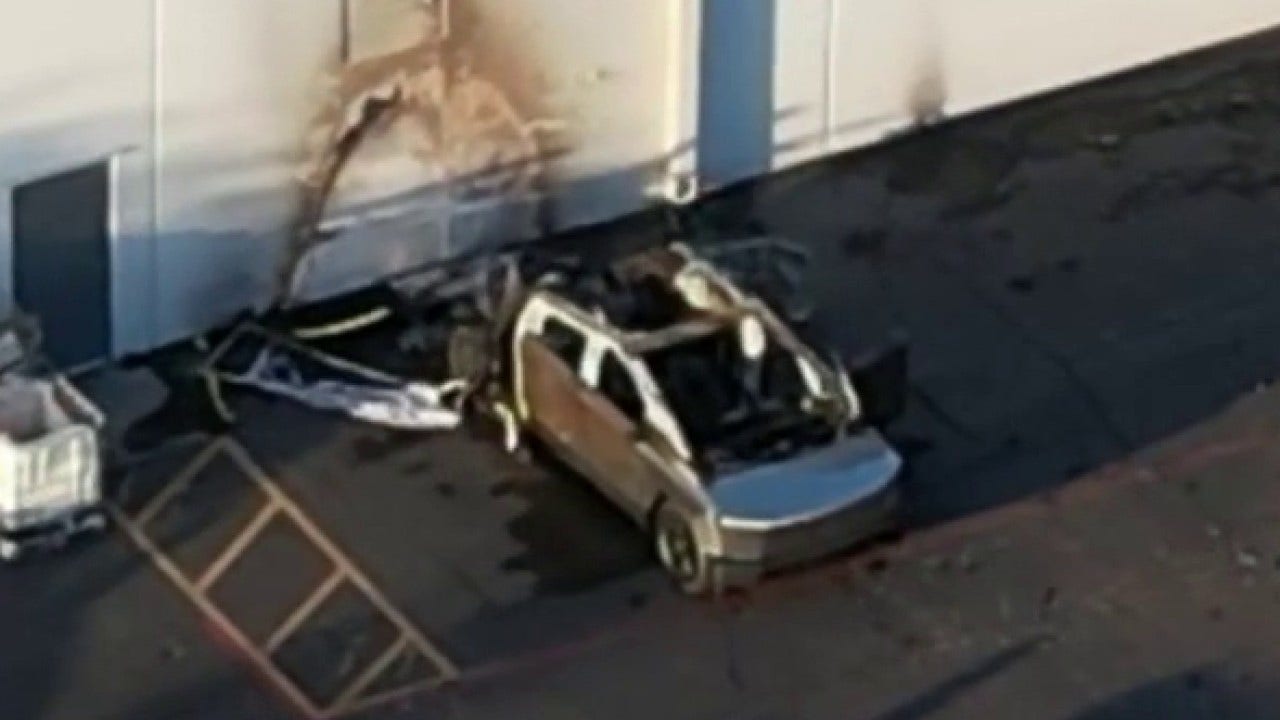 Tesla dealership arsonist learns prison sentence after pleading guilty ...