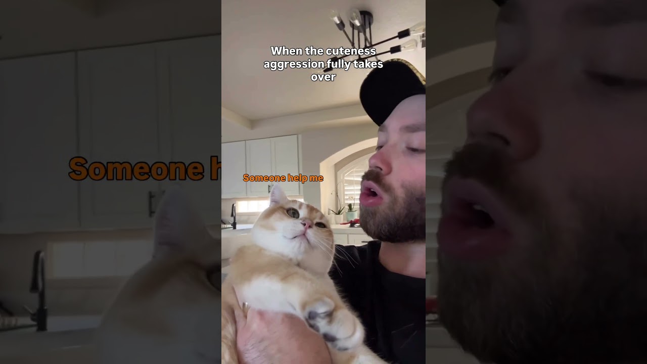 Cuteness aggression takes over