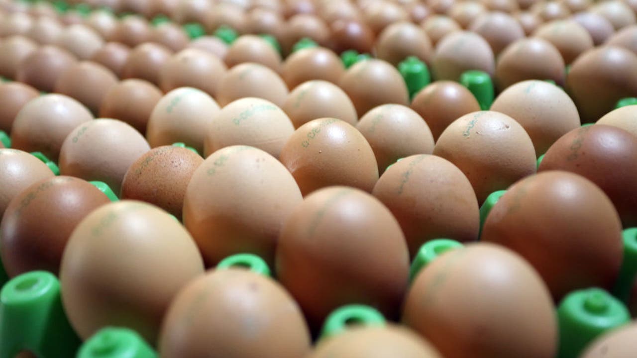 Texas food banks to receive 2 million eggs following pandemic lawsuit ...