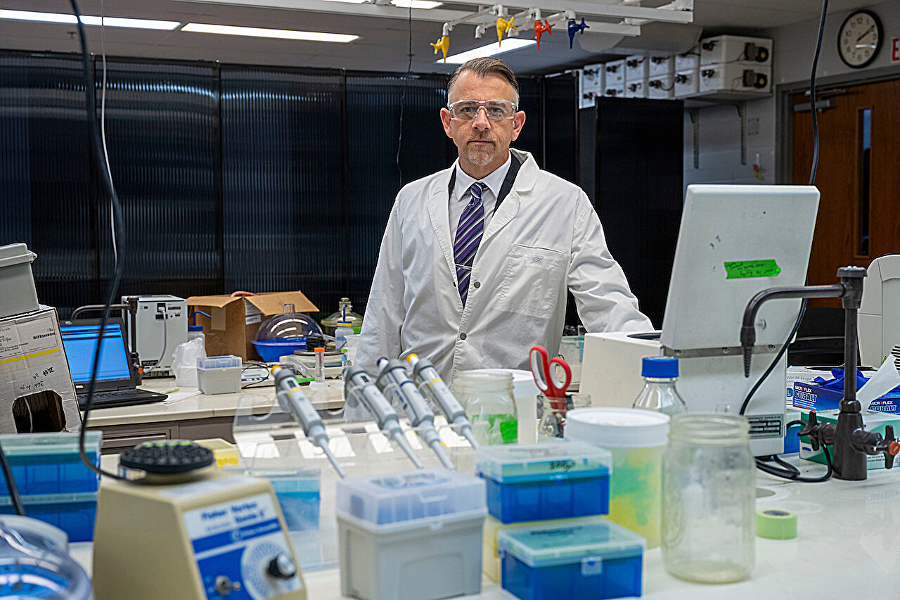 Long-term pesticide exposure accelerates aging and shortens lifespan in ...