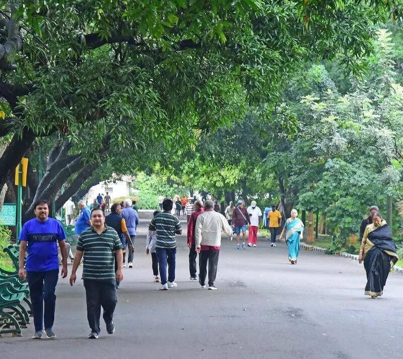 Mobility challenge: GBA’s Hejje-Gala to promote walking, cycling for ...