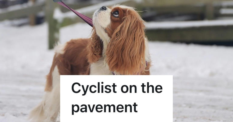 Dog owner alarmed by speeding cyclist tries to calm his agitated dogs ...