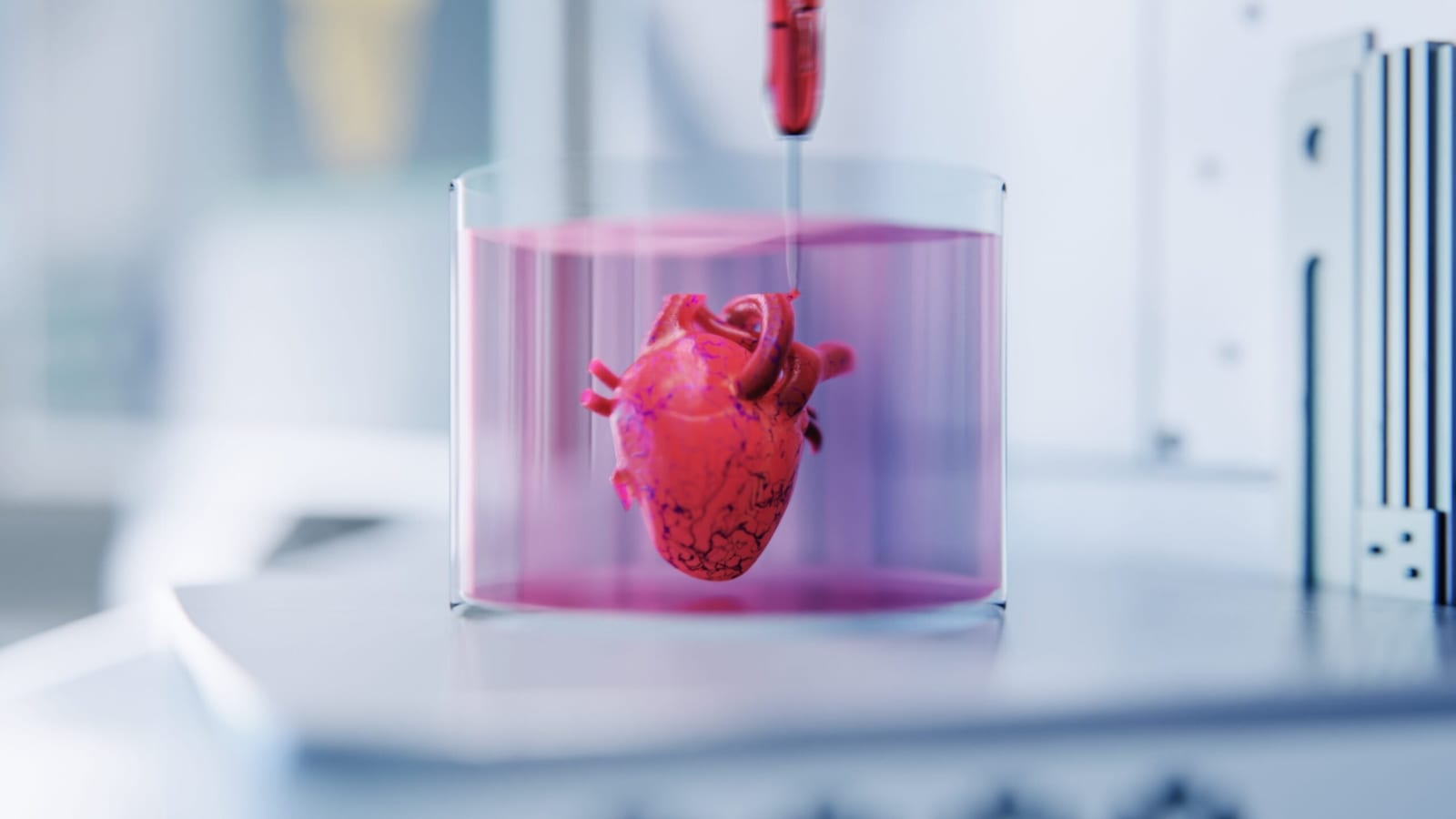 Tiny human heart organoids open the door to safer, faster drug discovery
