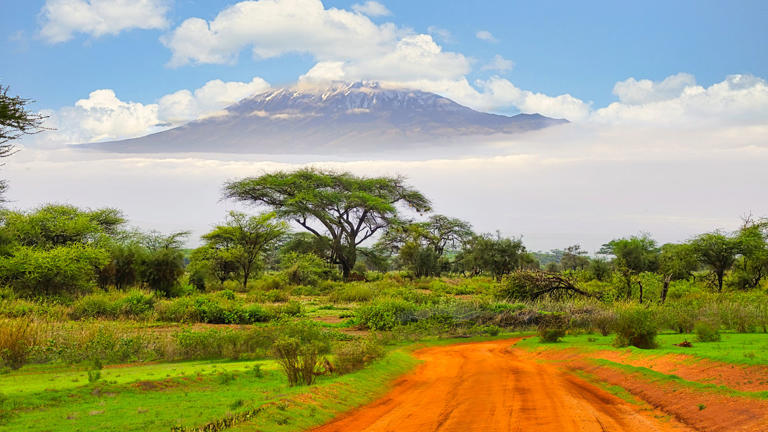 Signature’s non-profit arm unveils 2026 global impact grants