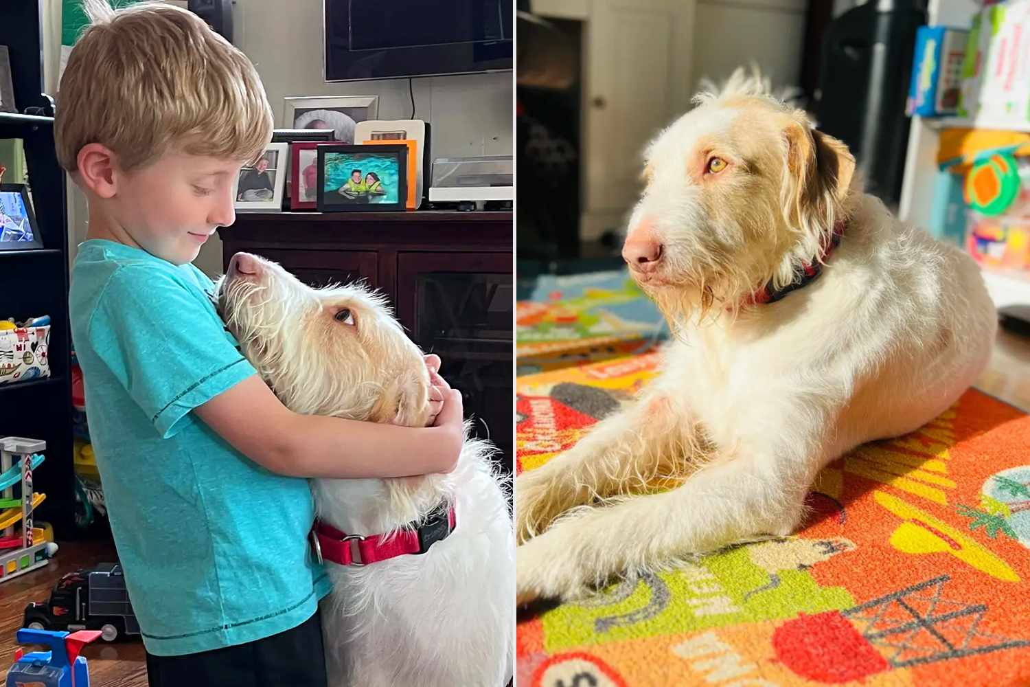 Boy, 4, upset when family dog gets out of the yard. Then he makes ...