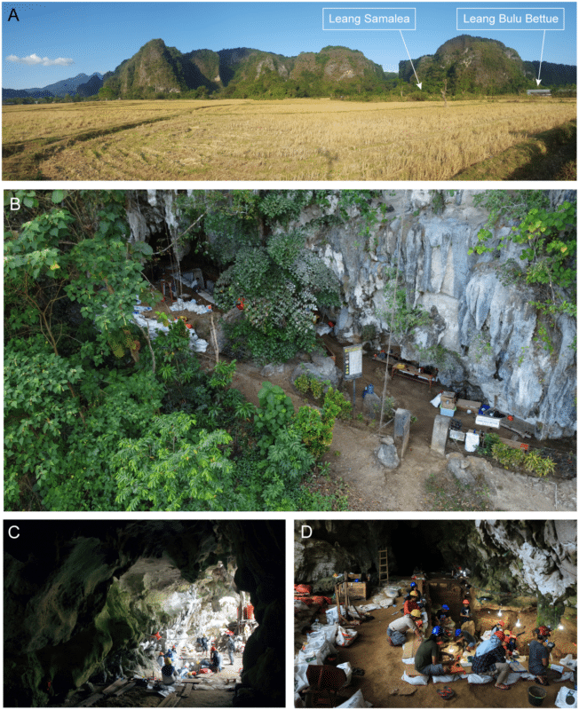 Archaeologists unearth 200,000-year-old evidence of ancient human-like ...