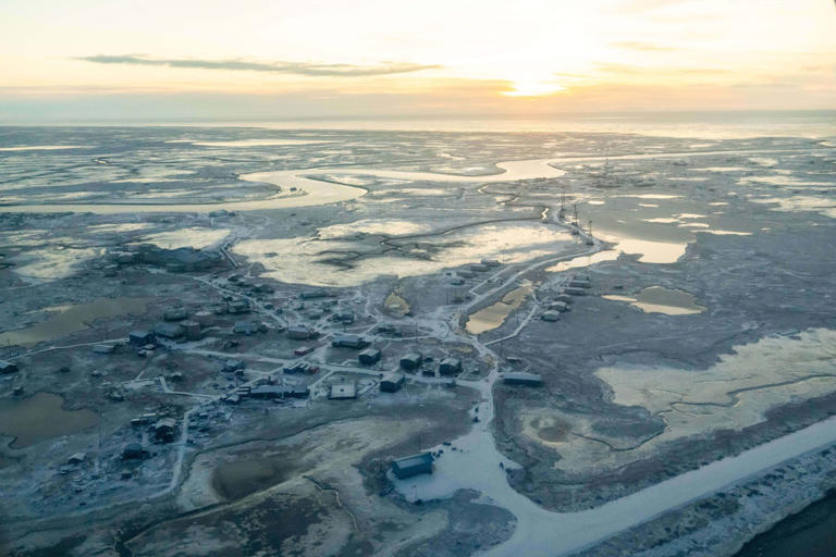 Cow Team 6 about to make biggest mission yet