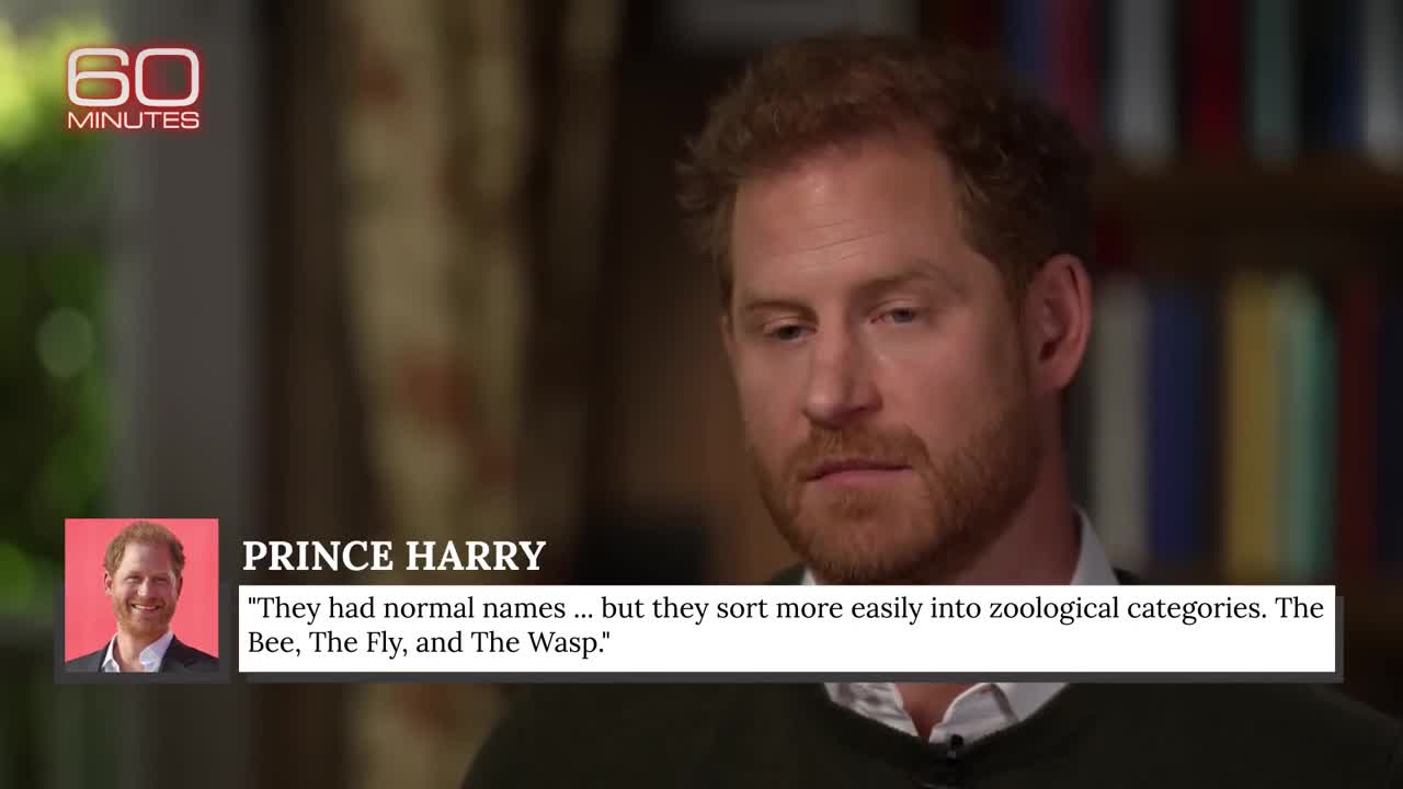 Royal writer claims King Charles is livid over Prince Harry's nicknames ...