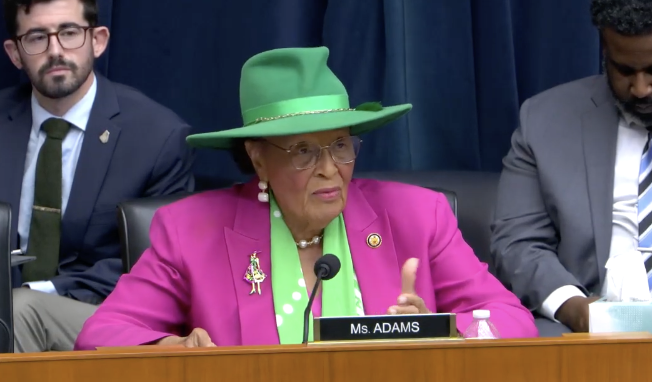 AI gold rush or education trap? Adams questions who benefits from AI in ...