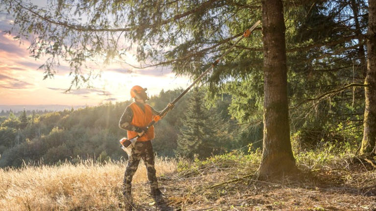 Are Stihl pole saws any good? Here's what owners say