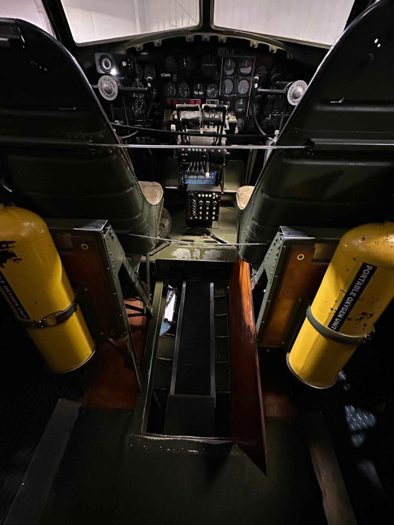 The development of the lost bird