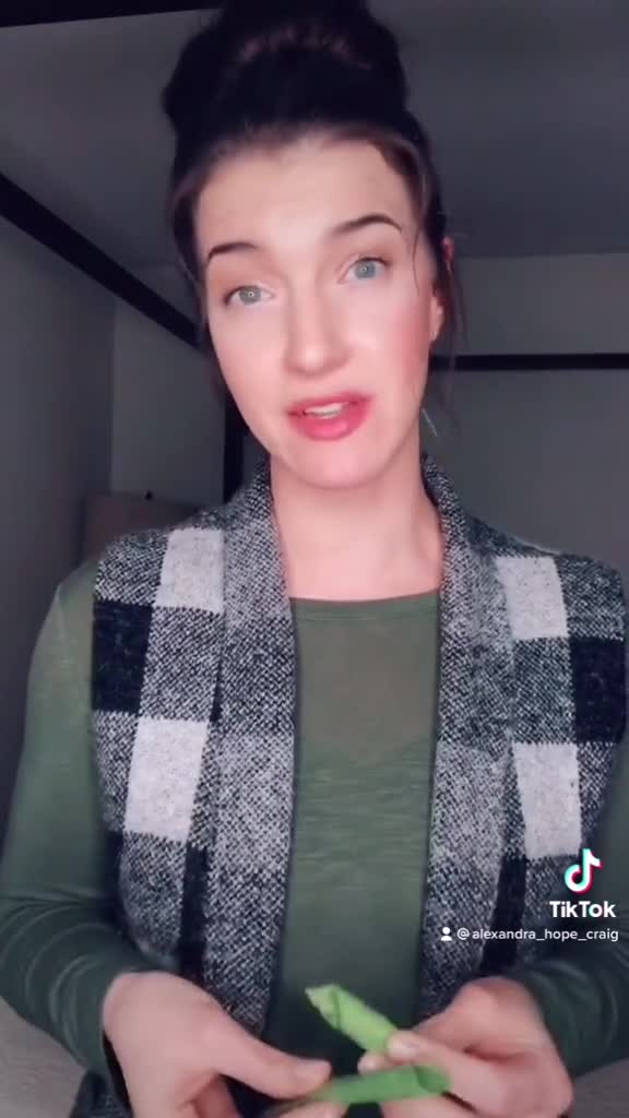 This aloe vera lesson changed how I see my brokenness