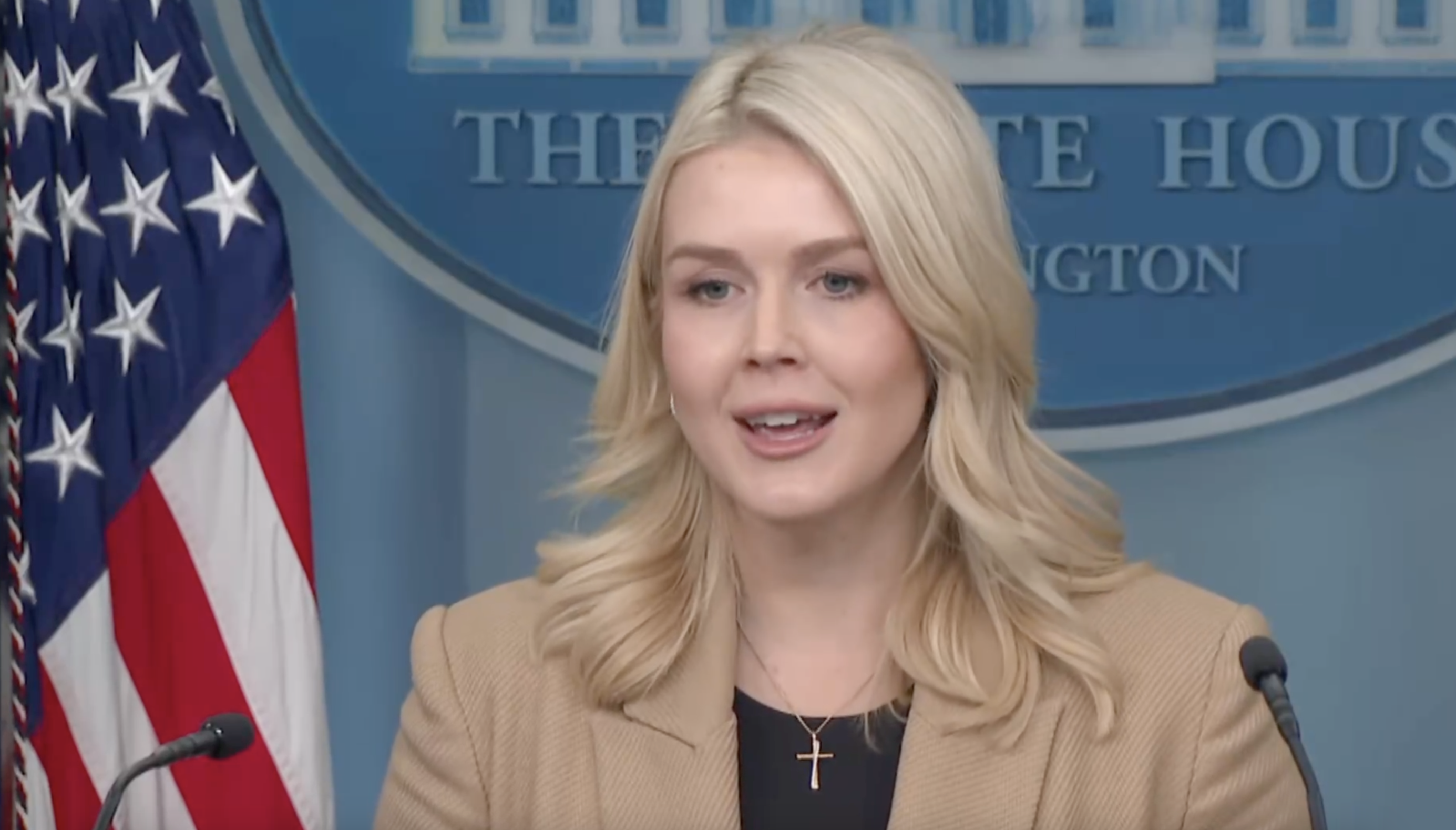 'Only someone like you would take that so seriously': Karoline Leavitt ...