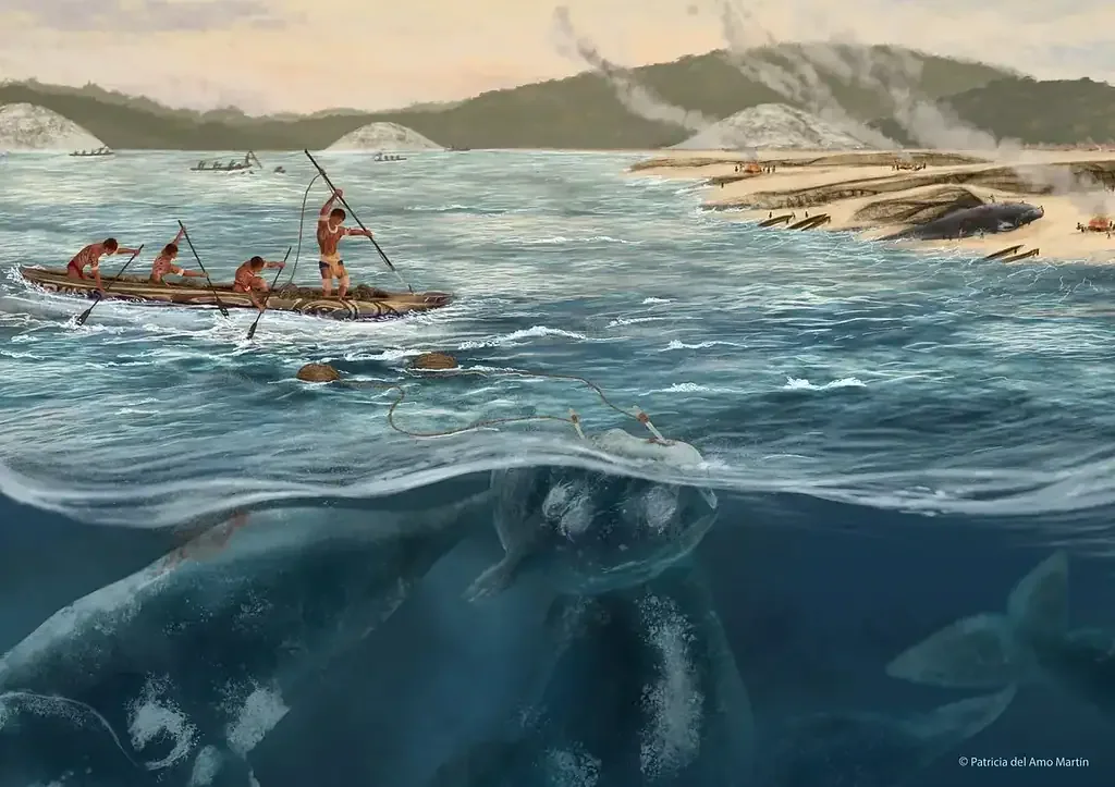 Ancient people in Brazil were hunting massive whales 5,000 years ago ...