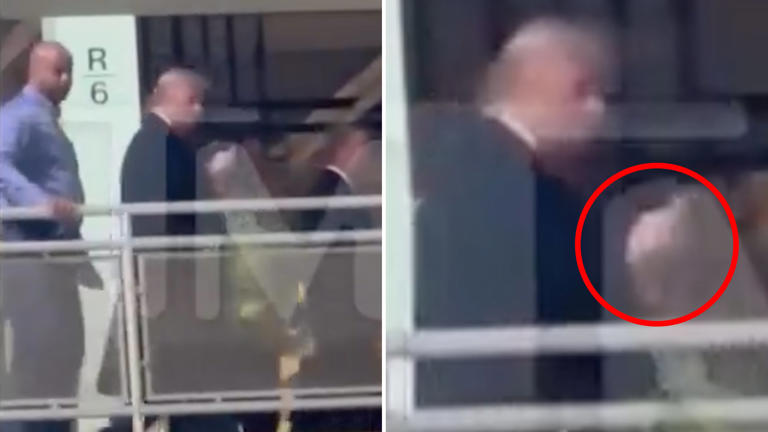 MS NOW Anchor Skewers ‘Vulgarian’ Trump Over Small Body Parts Obsession