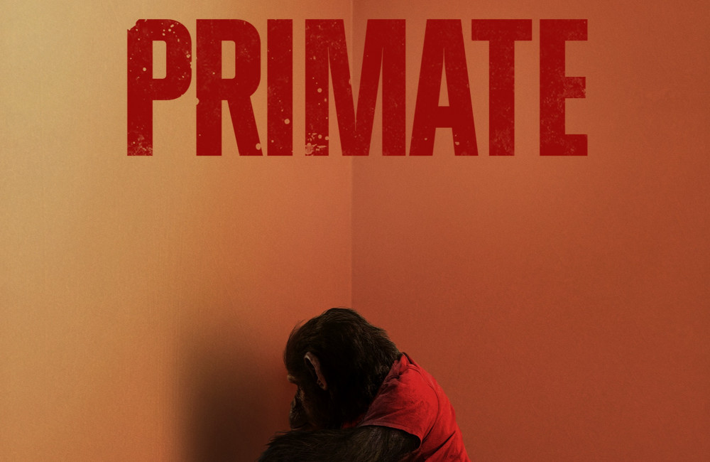 As crazed chimpanzee horror Primate is about to scare you senseless ...